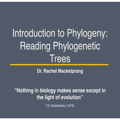 Microbial Diversity Part 2: Reading Phylogenetic Trees | PPT