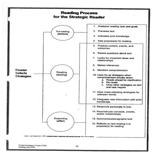 Reading process for the strategic reader | PDF