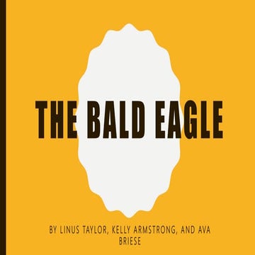 Real bald eagle | PPTX