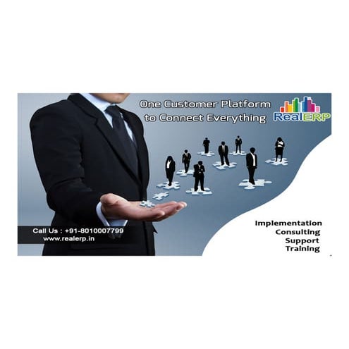 Real erp consulting services | PDF