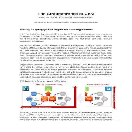 Realizing a fully engaged cem program from technology functions | PDF