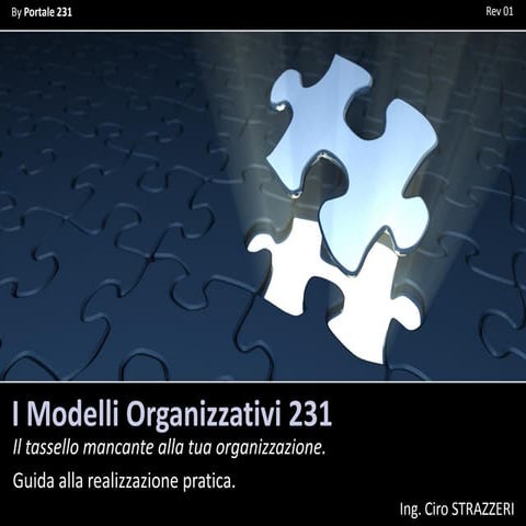 Realizzazione Pratica Modelli 231 Versione Pdf (Rev 01) | PDF