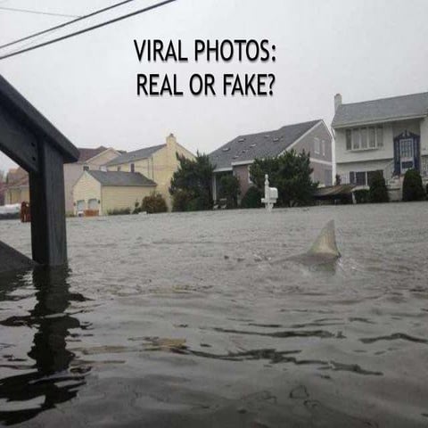 Viral Photos: Real or Fake? Powerpoint Presentation | PPT