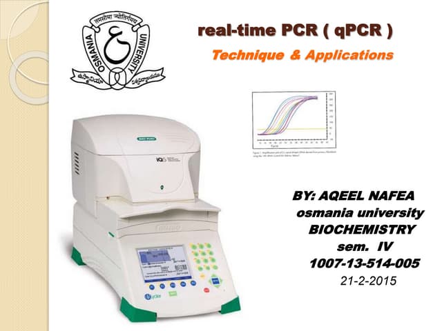 Real Time PCR