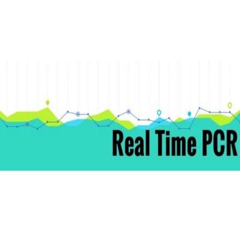 Real time pcr | PPTX