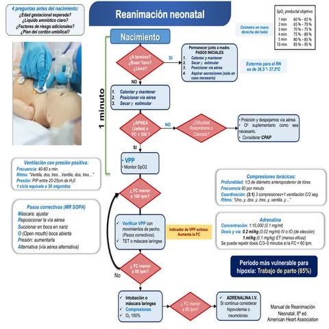 ALGORITMO REANIMACION NEONATAL RENEO.pdf