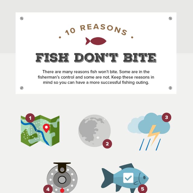 10 Reasons Fish Don't Bite | PDF