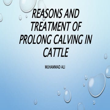 Reasons and treatment of prolong calving in cattle | PPTX