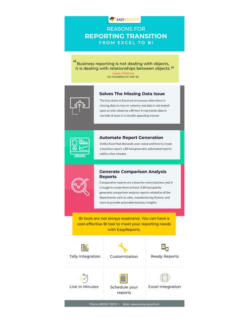 Tally BI Tool To End Your Reporting Blues | PDF