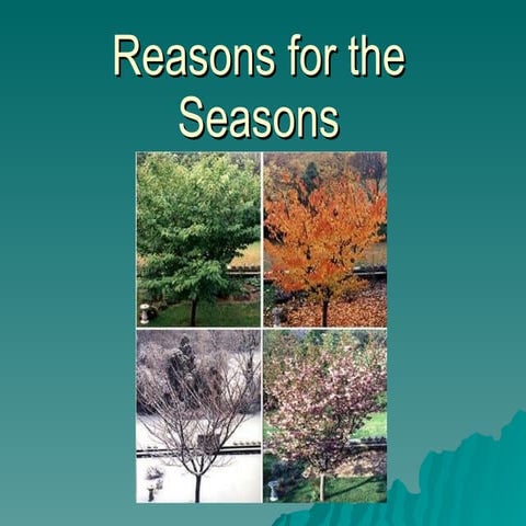 Reasons for the seasons notes | PPT | Geography | Science