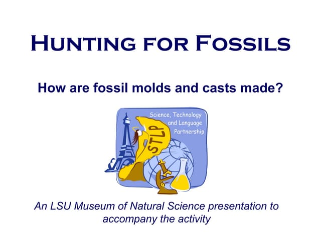 Fossils | PPT