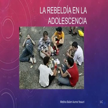 Características De La Rebeldía En Adolescentes Y Como Controlarla – OIDK