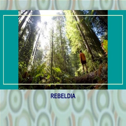 Rebeldia | PPT