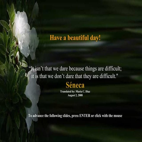 Born limitless song 1. .pdf