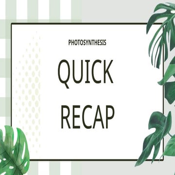 Recap photosynthesis in higher plants.pptx