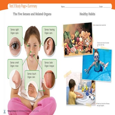 Study page of Science 2nd grade rec_archivo_esarc00004543 ...
