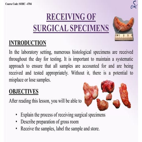 Receiving of surgical specimens | PDF | Surgery | Medical Health