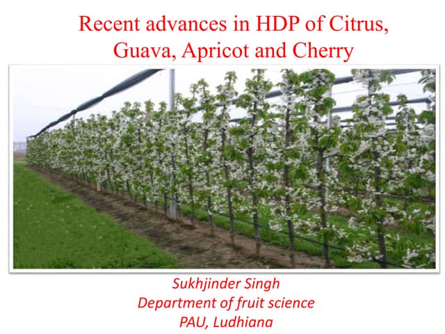 High density planting (HDP) | PPTX