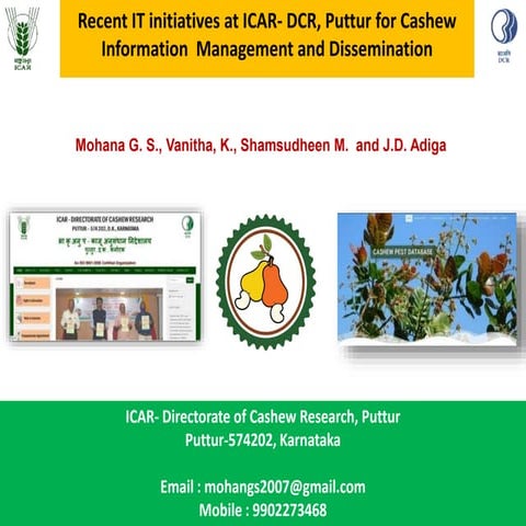 Recent it initiatives at icar directorate of cashew research puttur dr ...
