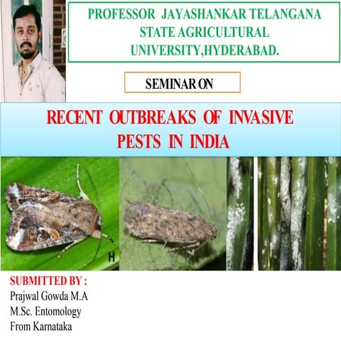 Recent outbreak & Invasive Pests of India.pptx