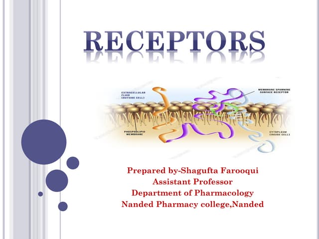 upregulation and downregulation.pptx | Lung and Respiratory Health ...