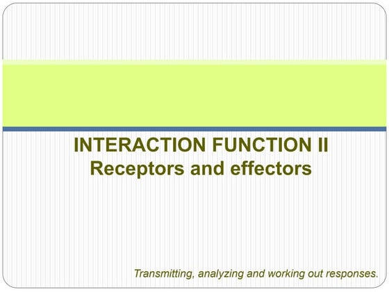 Presentation 17 - Sensory Mechanisms | PPT