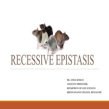 4. Gene interaction - Epistasis - Dominant & Recessive, Non-epistatsis ...