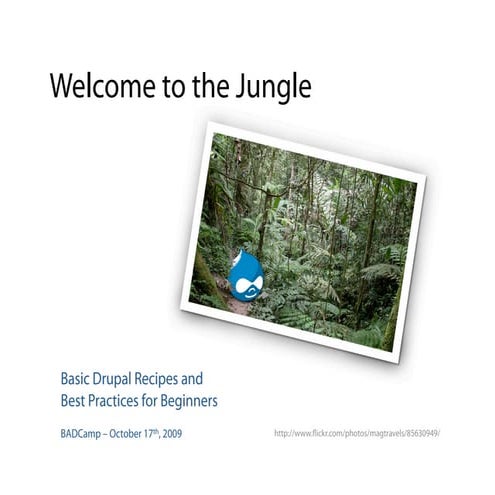Basic Drupal Recipes - BADCamp 2009 | PDF | Technology & Computing