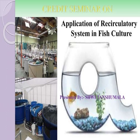 Recirculation in fish | PPTX