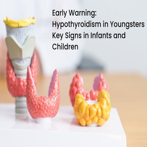 Recognizing Hypothyroidism in Youngsters Key Signs in Infants and ...