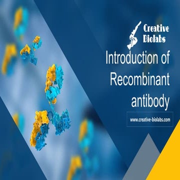 Introduction of Recombinant Antibody | PPTX