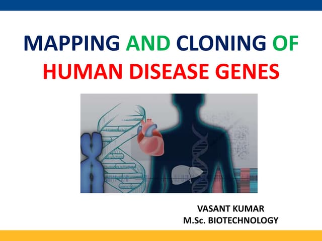 Gene mapping ppt | PPTX