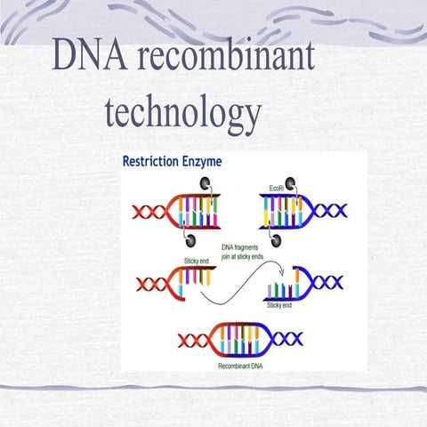 Recombinant DNA Technology | PPT