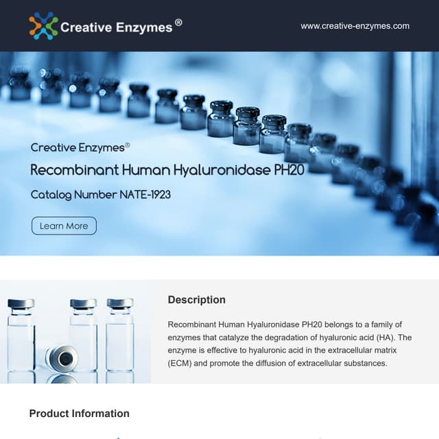 Your Guide to Recombinant human hyaluronidase ph20 | PDF | Chemistry ...