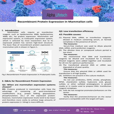 Recombinant Protein Expression in Mammalian cells.pdf