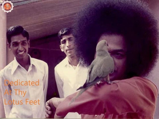 Holliday Model of DNA Recombination | PPT