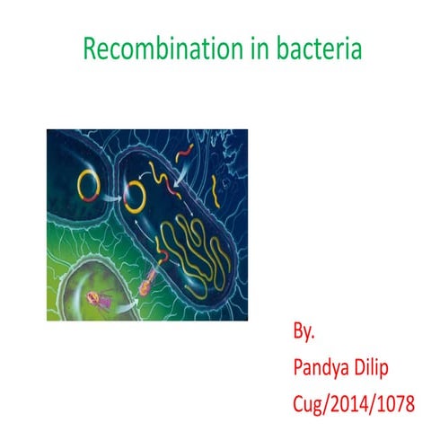 Gene transfer mechanisms in bacteria | PPT