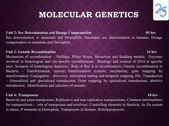 Holliday Model of DNA Recombination | PPTX