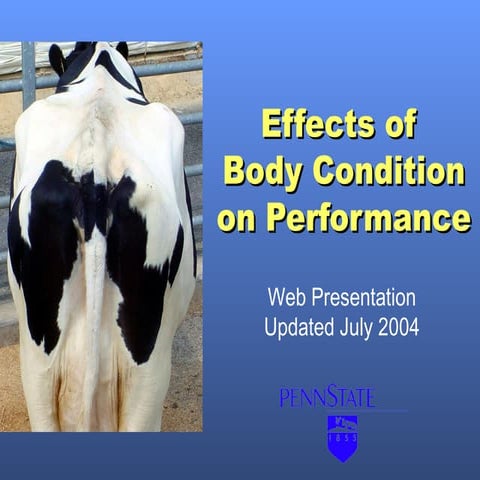 Effects of Body Condition on Performance of Dairy Cows | PPT