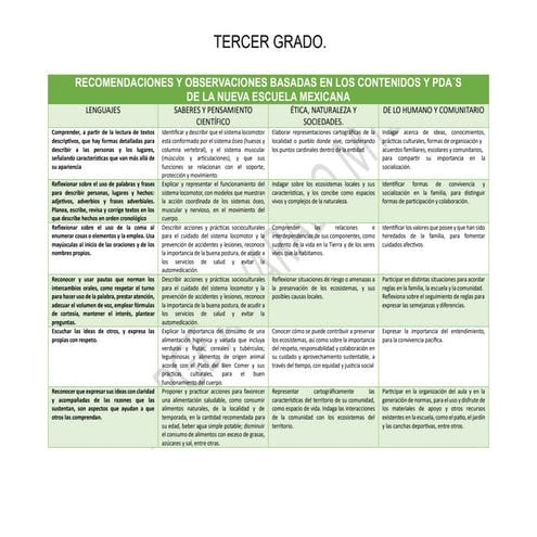RECOMENDACIONES Y OBSERVACIONES BASADAS EN LOS CONTENIDOS Y PDA 3°.pdf