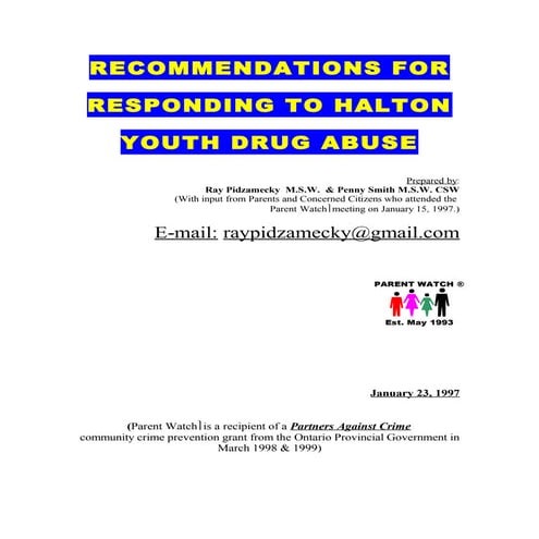 Recommendations For Responding To Halton Youth Drug Abuse | PDF