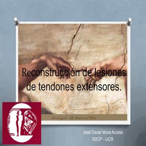 Lesiones Y Niveles De Amputaciones De Las Extremidades Superiores