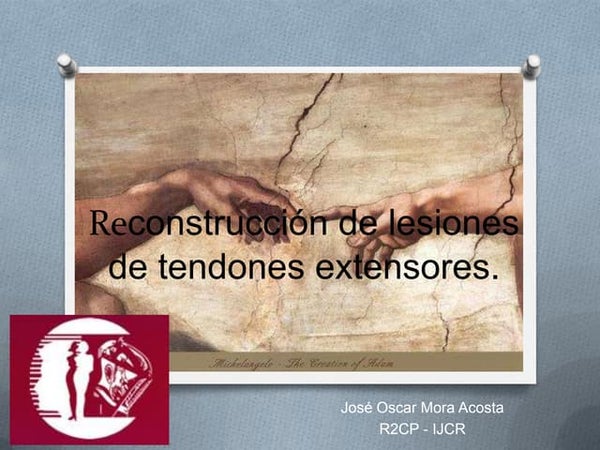 Lesiones Y Niveles De Amputaciones De Las Extremidades Superiores