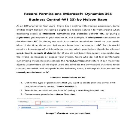 Record Permissions Microsoft Dynamics 365 Business Central W1 23 By Nelson Bape Pdf