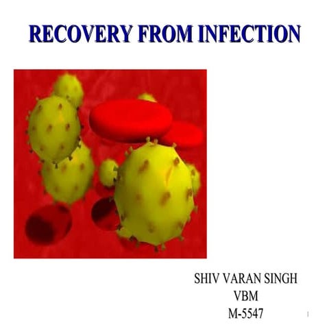 Recovery from bacterial infections | PPT
