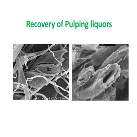 Recovery of pulping liquors | PPTX