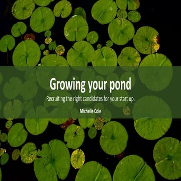 Michelle Cole's Level Up Presentation (Round 2) | PPT