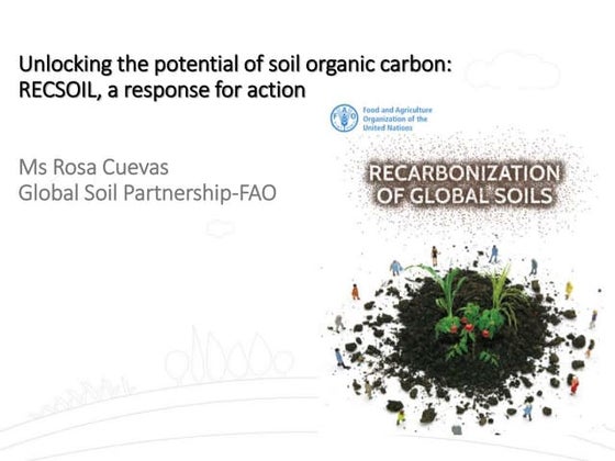 Sustainable Soil Management | PPTX | Agriculture | Industries