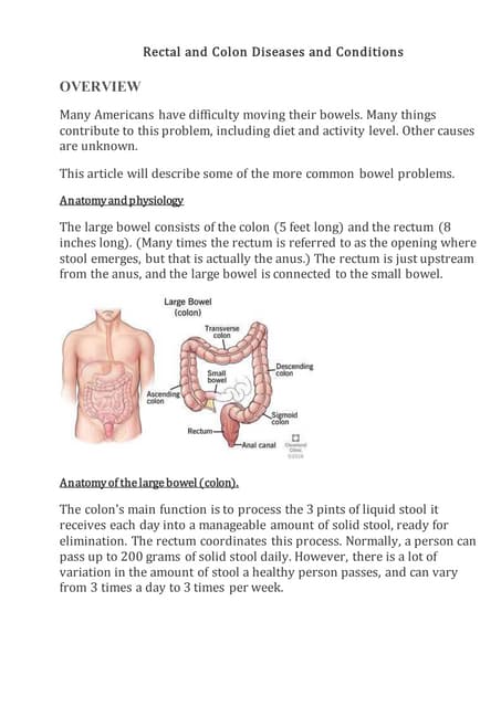 Understanding Piles, Fissures, and Fistula - Symptoms, Treatment, and ...