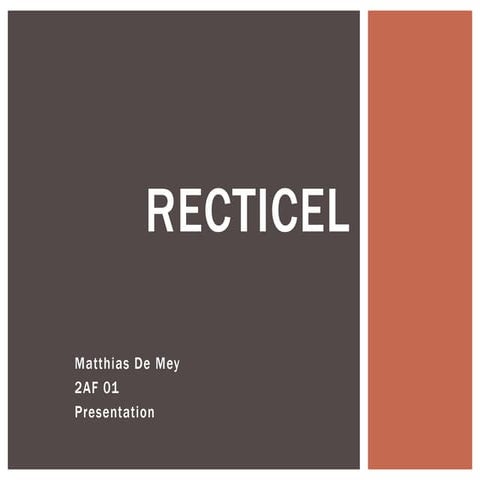 Recticel | PPTX | Business Accounting & Finance | Business